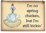 idiom: to not be a spring chicken | English Help Online's Blog