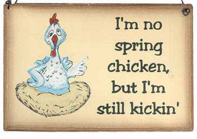 idiom: to not be a spring chicken | English Help Online's Blog